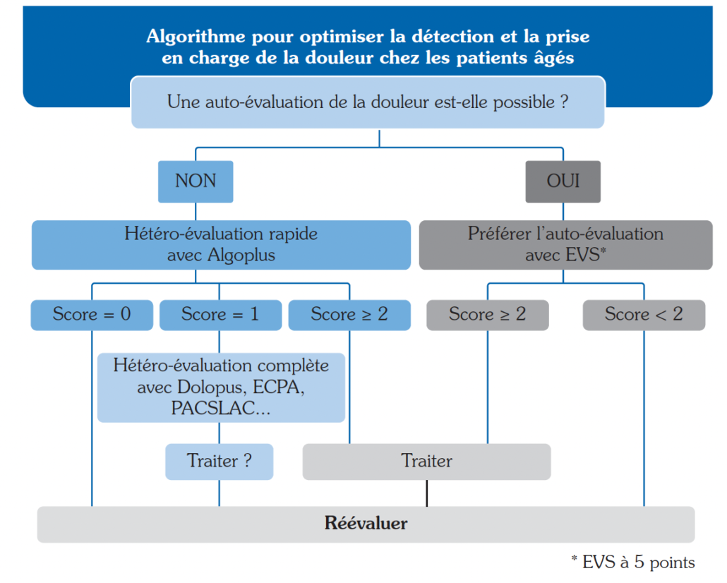 Évaluation de la douleur dans le grand âge : où en sommes-nous en 2021 ...